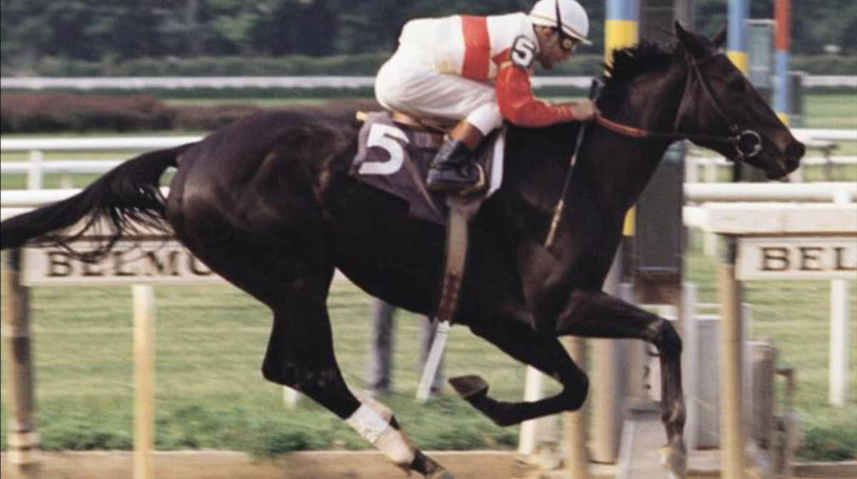 “All 1’s” Ruffian, The Real Story - Past The Wire