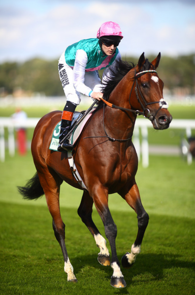 All Eyes On Frankel? – Past The Wire
