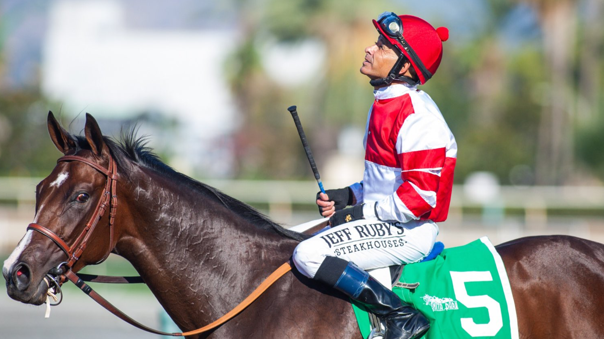 Peter Lee’s Top 20 Horses of the 21st Century - Past The Wire