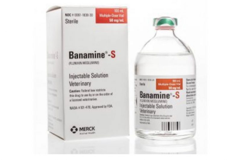 Banamine, Bute What Is It? - Past The Wire